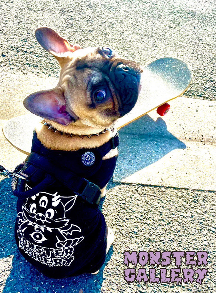 DOGGY MONSTER – RESOLUTION OSAKA